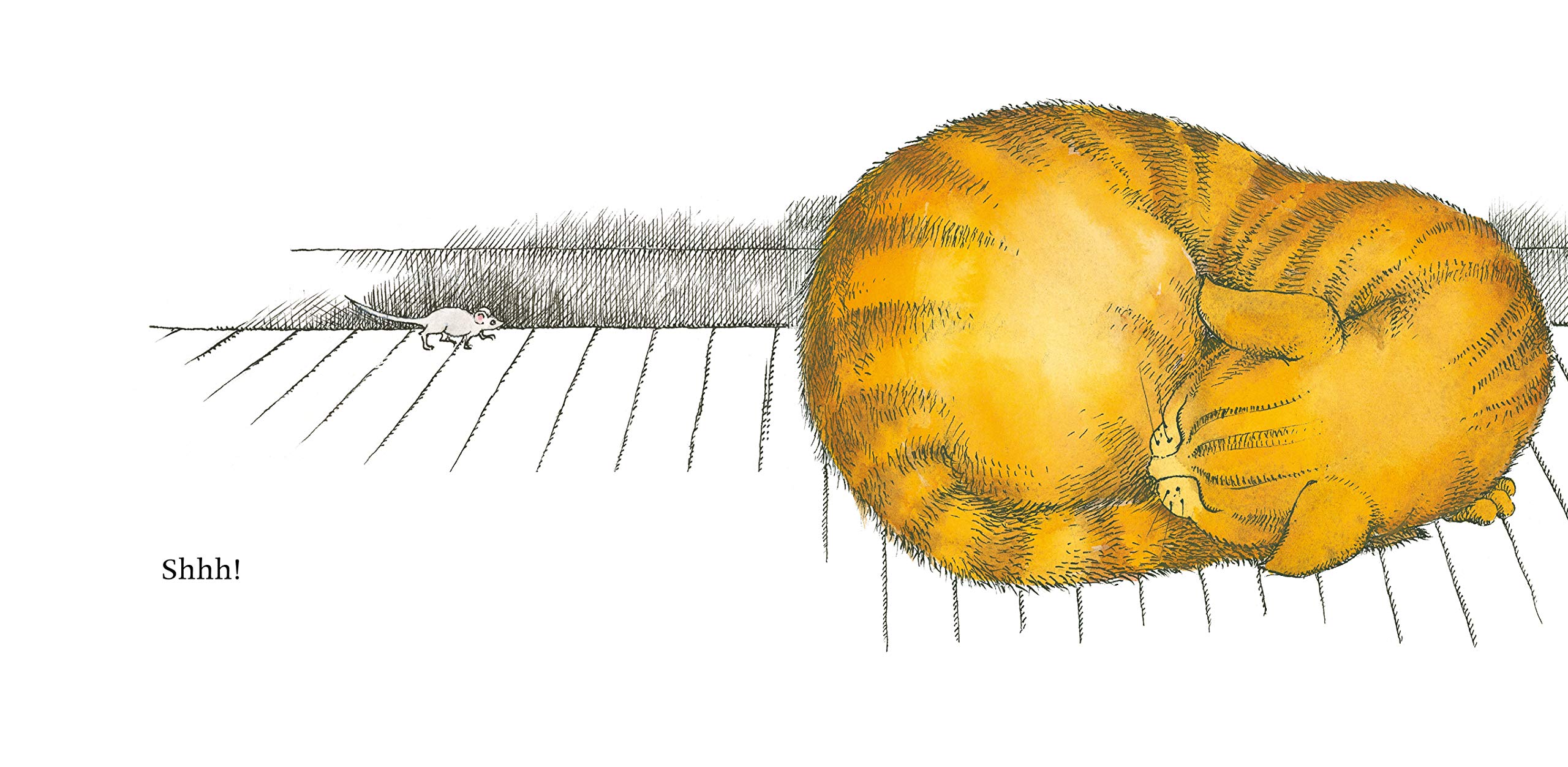 Shhh! Little Mouse | Angus & Robertson