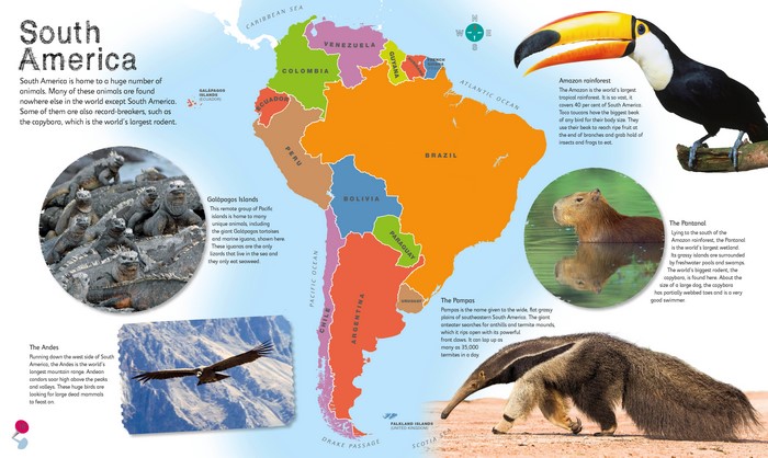 Children's Illustrated Animal Atlas | Angus & Robertson