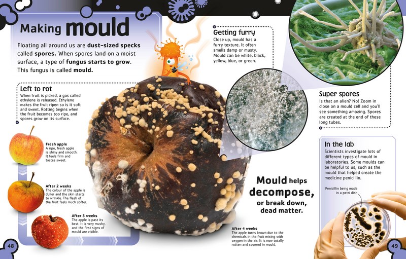 The Bacteria Book | Angus & Robertson