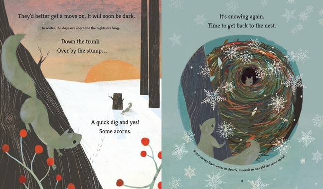 The Squirrels' Busy Year | Angus & Robertson